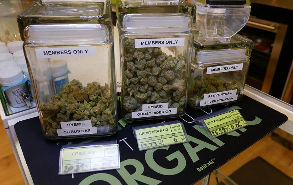 Trusted Colorado Springs Dispensary - Altitude Organic Medicine
